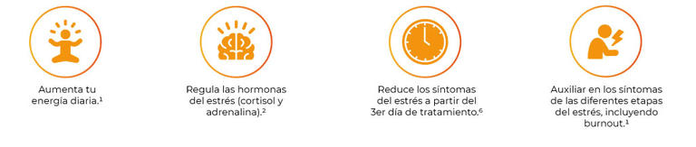 ¿Cómo se toma Vitanco®?